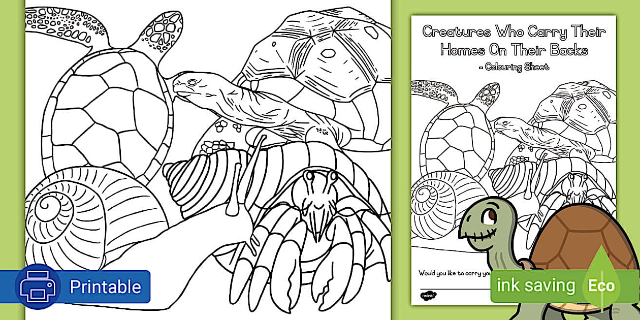 Grade 1 - Creatures Who Carry Their Homes On Their Backs