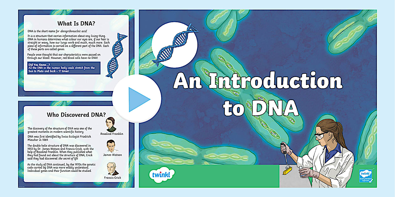 An Introduction to DNA PowerPoint (professor feito) - Twinkl