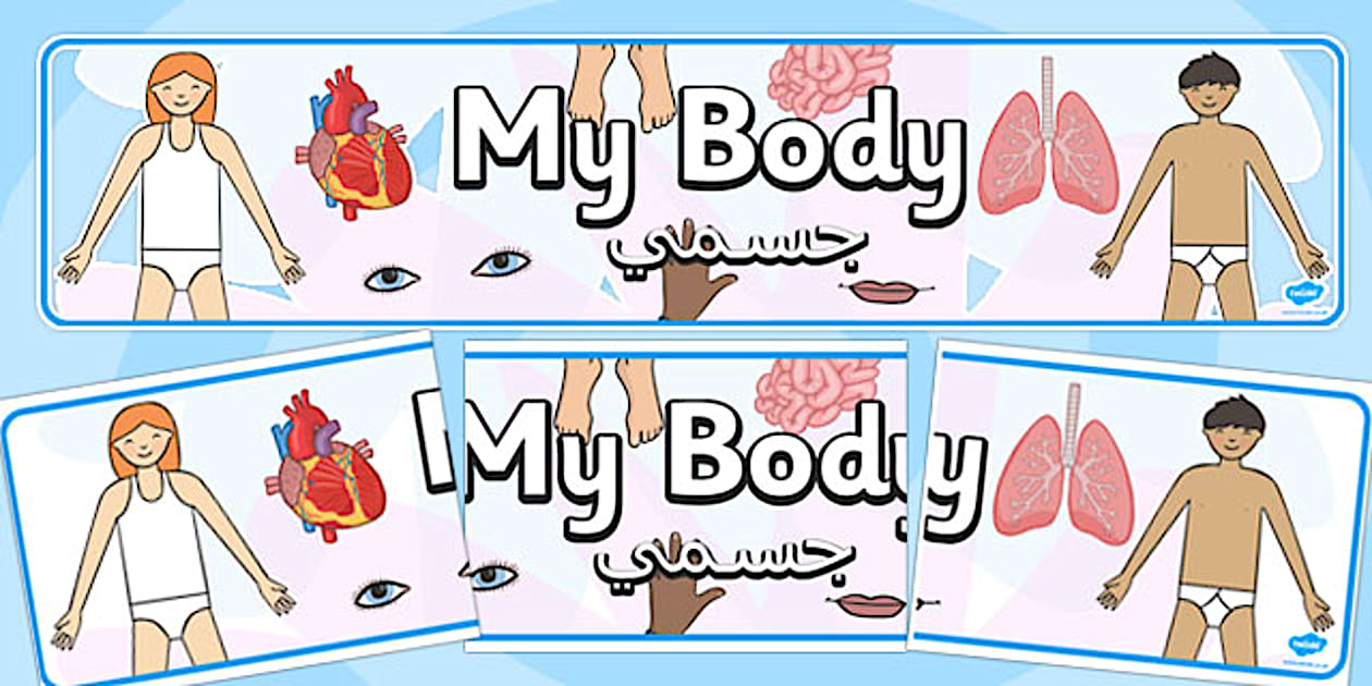 👉 My Body Banner Arabic Translation (teacher made)