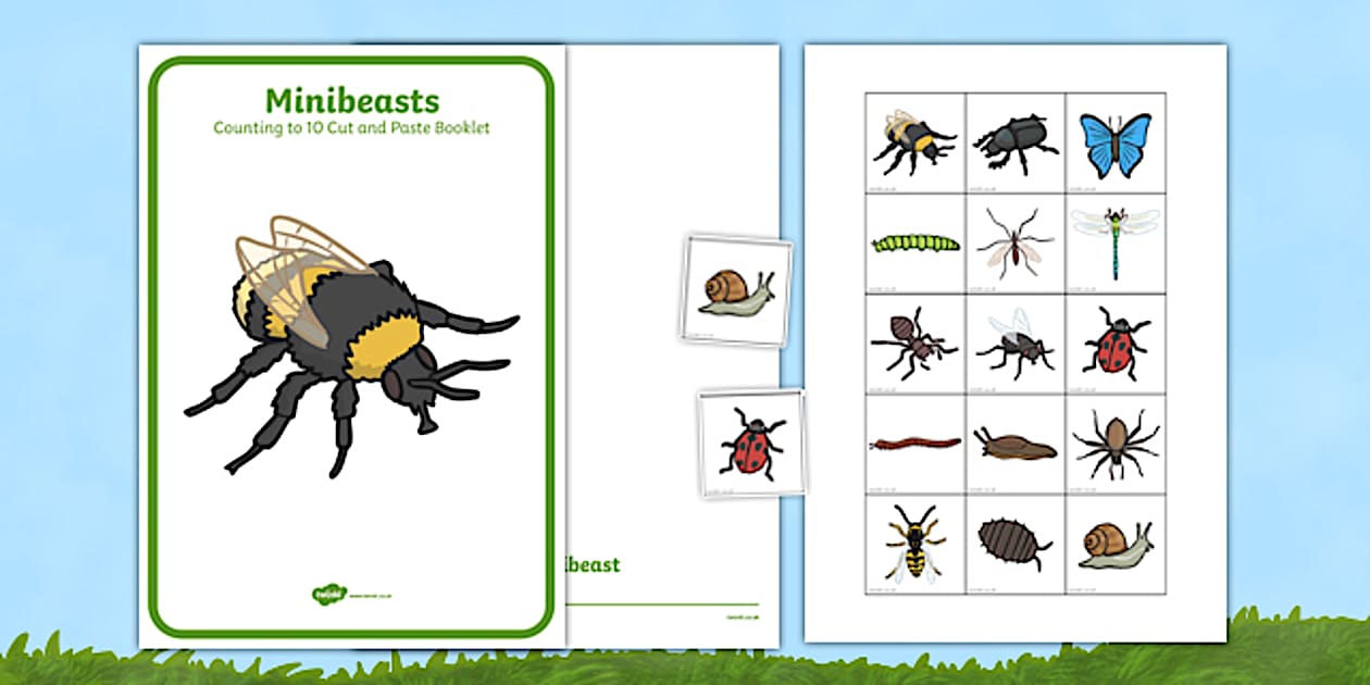 Minibeast Counting to 10 Cut and Paste Booklet - Twinkl