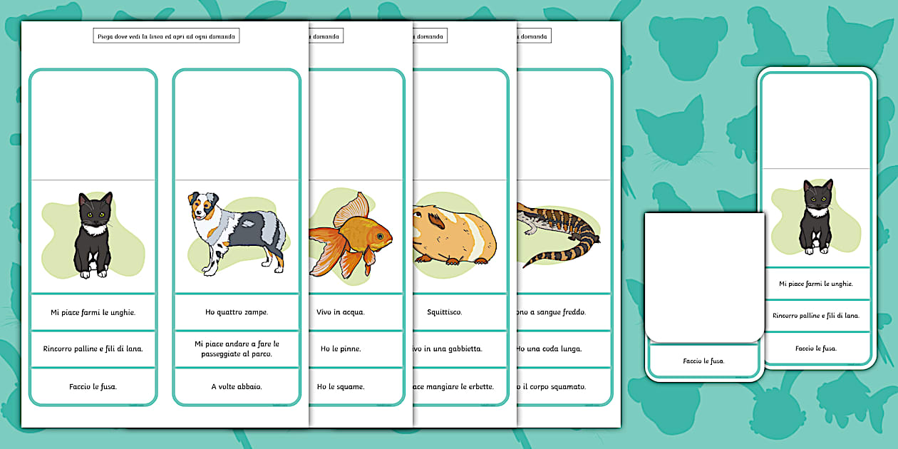 Che animale sono? Gioco descrivi e indovina (teacher made)
