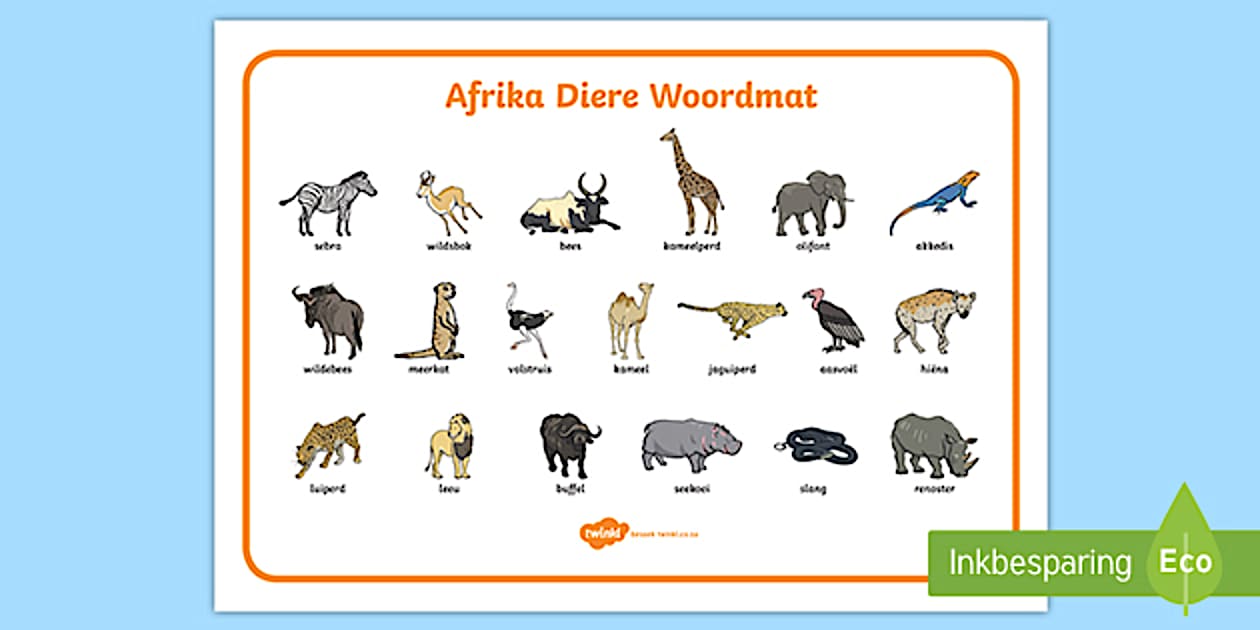 Afrika Diere Woordmat | Animals in Afrikaans Wordmat