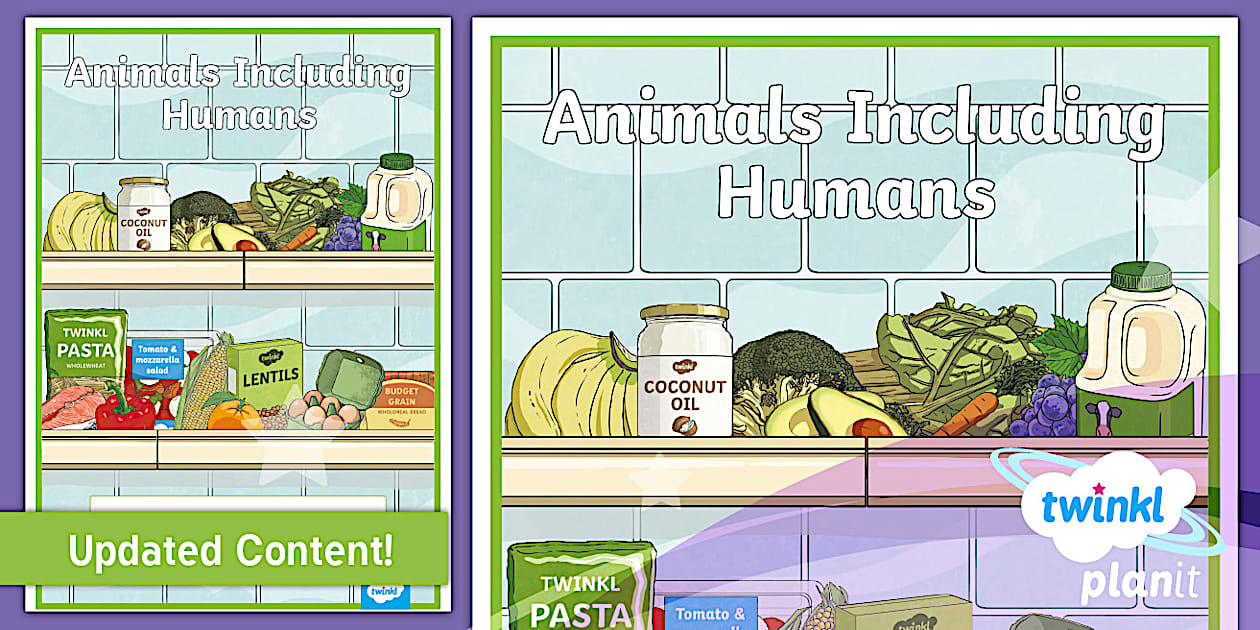 Editable Science: Animals Including Humans: Year 3 Unit Book Cover