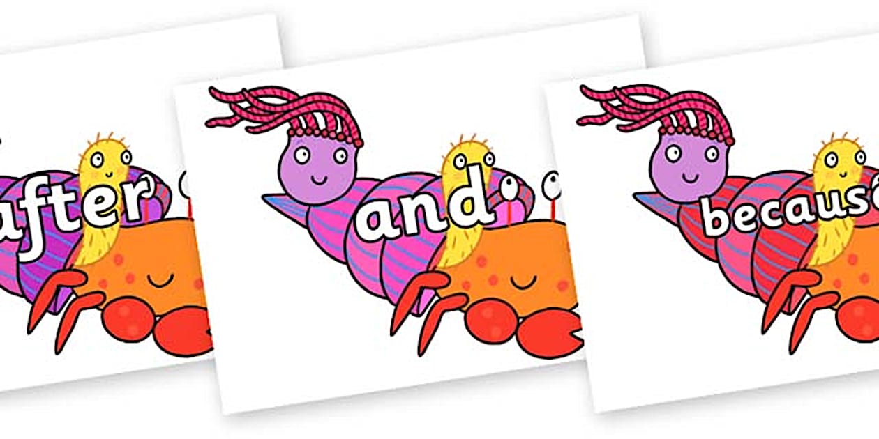 Connectives on Sharing a Shell to Support Teaching on Sharing a Shell