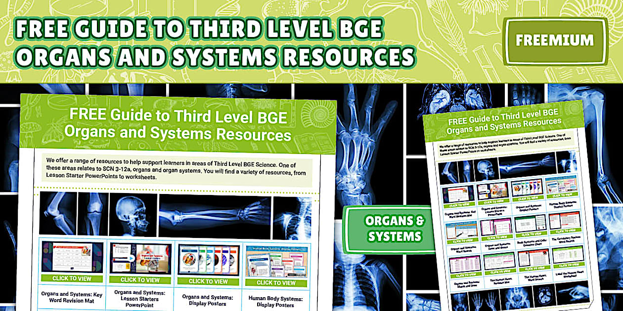 FREE Third Level BGE Organs and Systems Resource Guide.