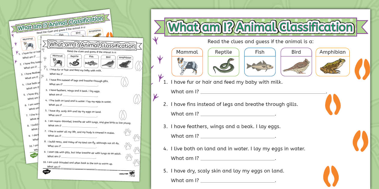 What am I? Animal Classification Guessing Game - Twinkl