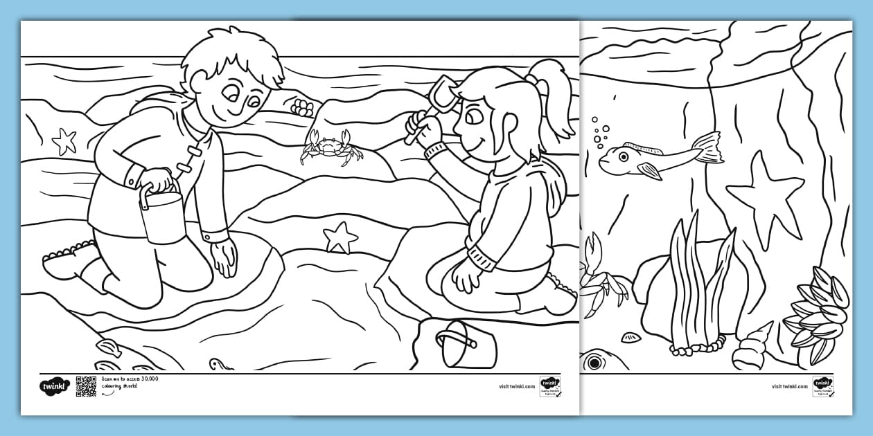Rock Pool Colouring Sheets (professor feito) - Twinkl