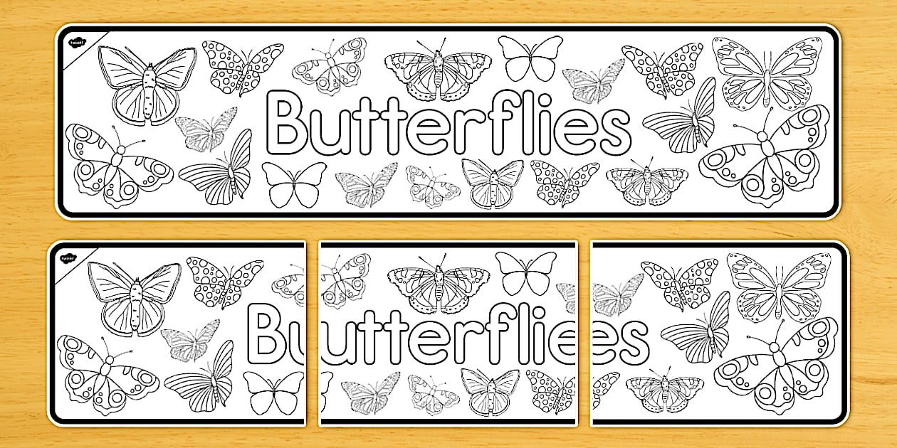 Butterflies Colouring Display Banner (teacher made) - Twinkl