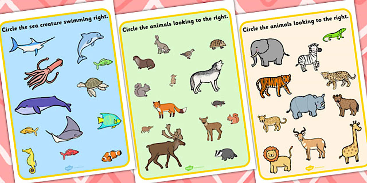 Circle The Animal Looking to The Right (teacher made)