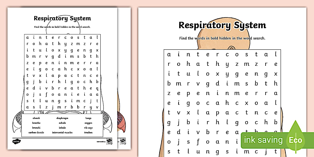 Respiratory System Word Search (ティーチャーメイド)