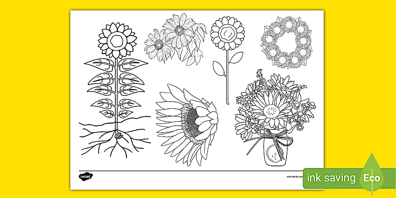 Sunflower Doodle Colouring Page (Teacher-Made) - Twinkl