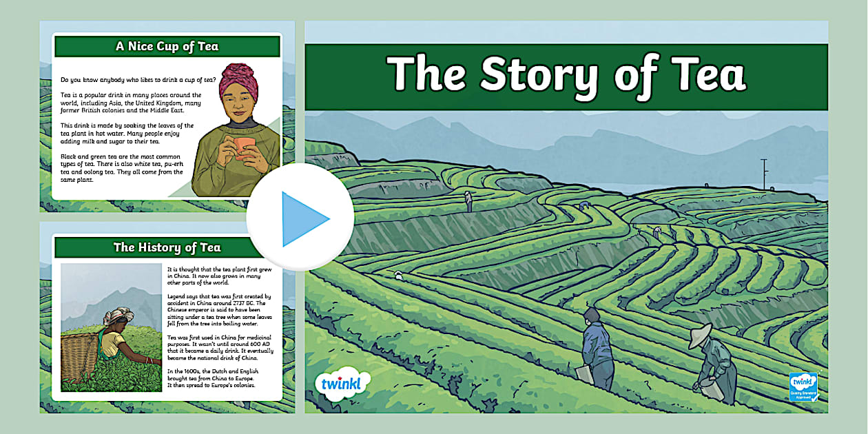 The Story of Tea PowerPoint (teacher made) - Twinkl