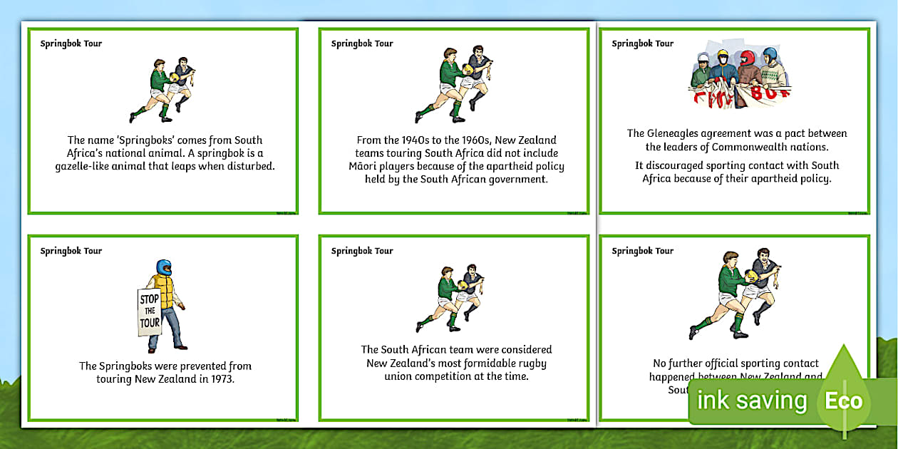 Springbok Tour Fact Cards