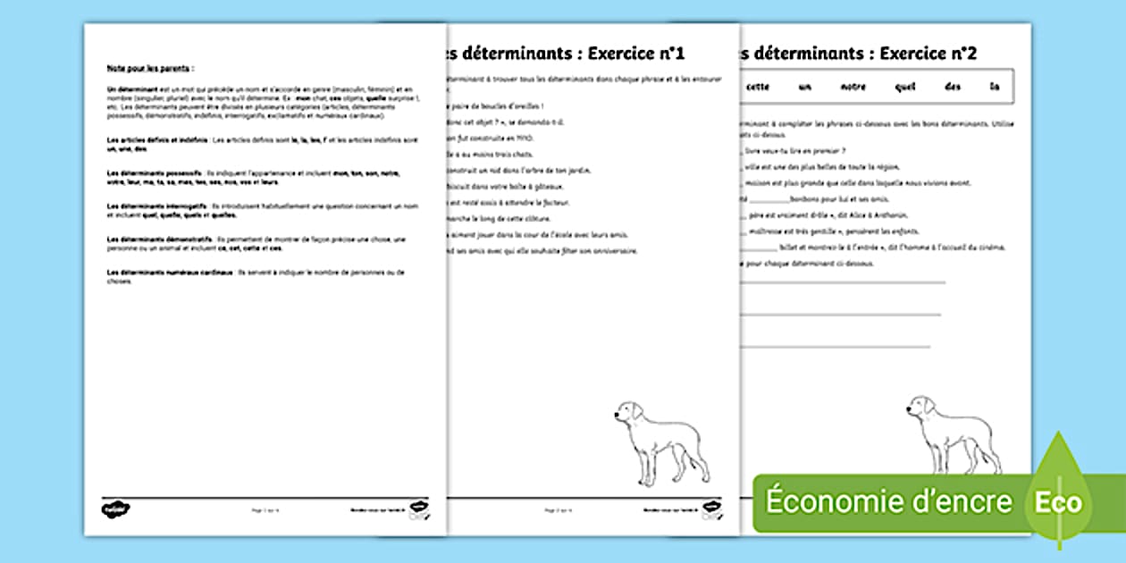 Fiches d'activités : les déterminants - Twinkl