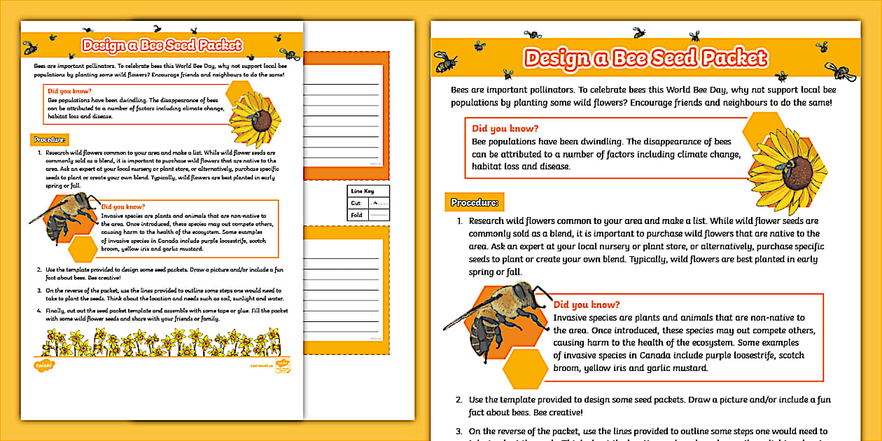 Design a Bee Seed Packet Activity (teacher made) - Twinkl