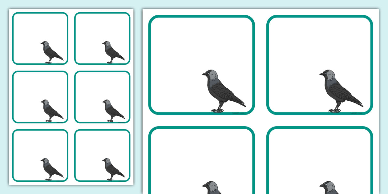 Editable Jackdaw Peg Labels (teacher made) - Twinkl