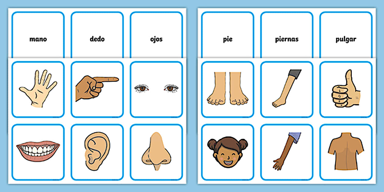 Editable Parts of the Body Word and Picture Matching Cards Spanish