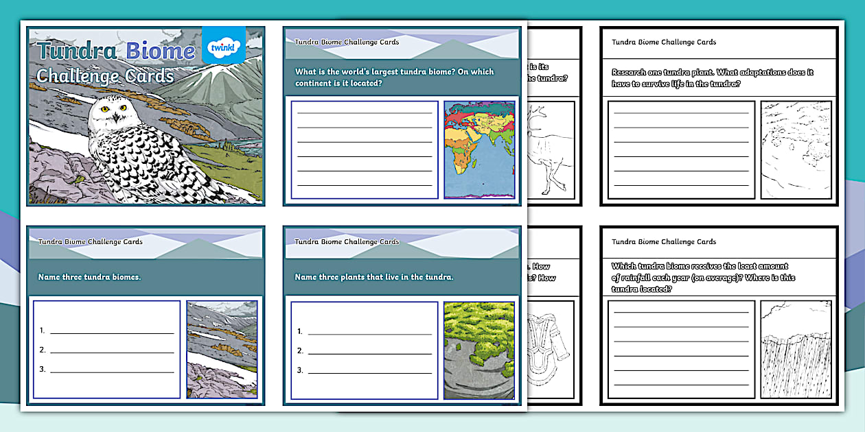 Tundra Biome Challenge Cards - Twinkl