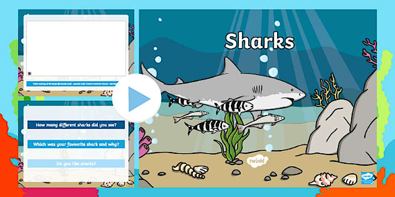 Shark Video PowerPoint | Shark Awareness Day - Twinkl