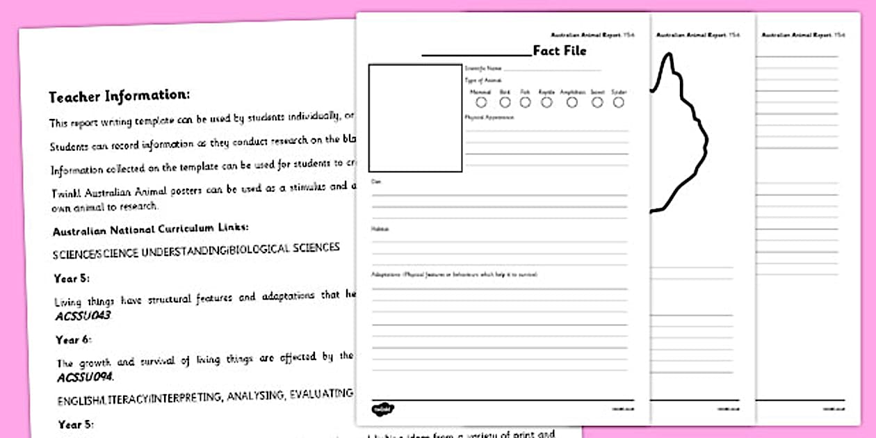 Animal Research Template - Teaching Resources (teacher made)