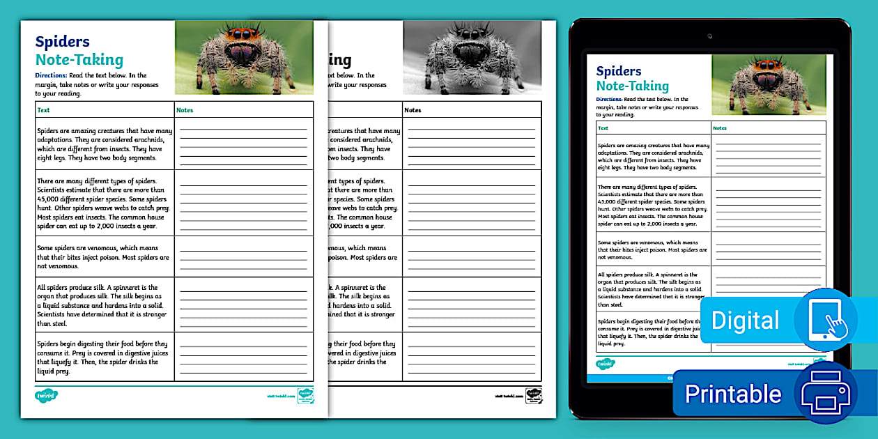 Third Grade Spiders Reading and Note-Taking Worksheet