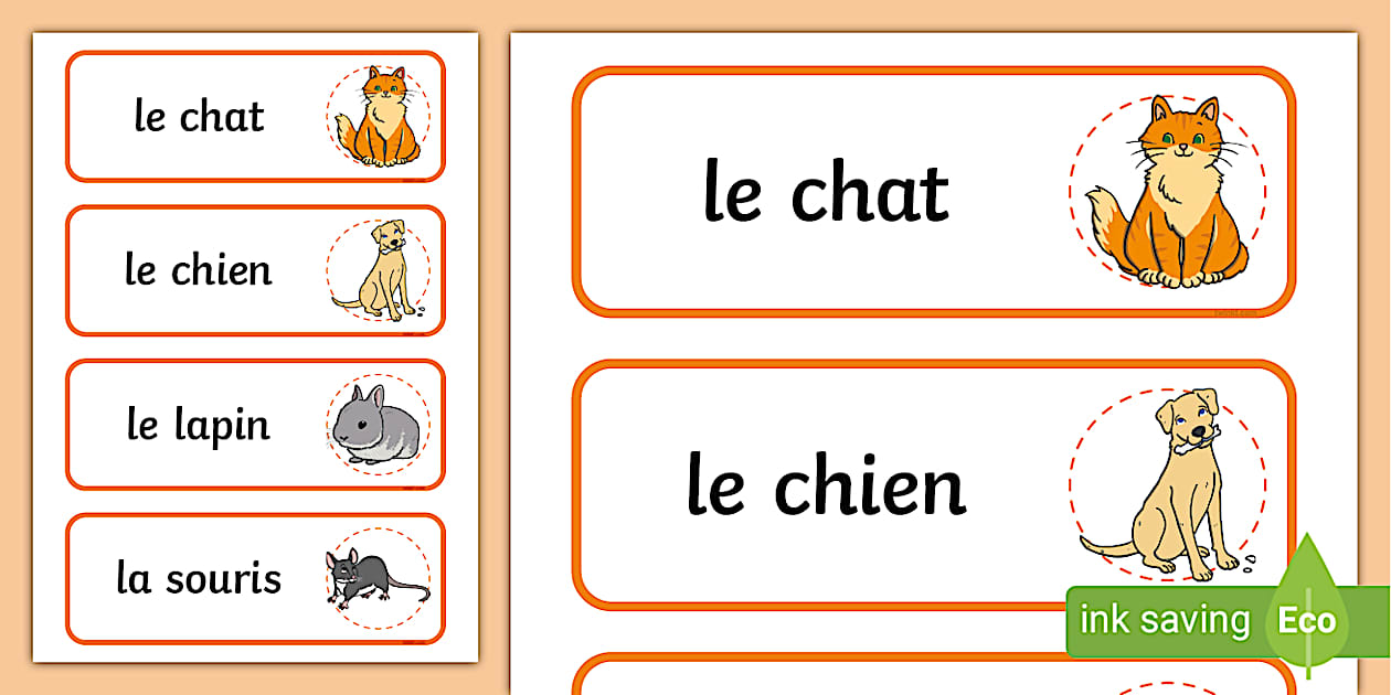 French Pets Word Cards (teacher made) - Twinkl