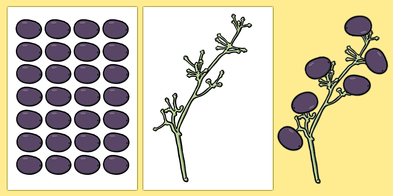 We're a Grape Bunch! Display Cut-Outs-Australia - Twinkl