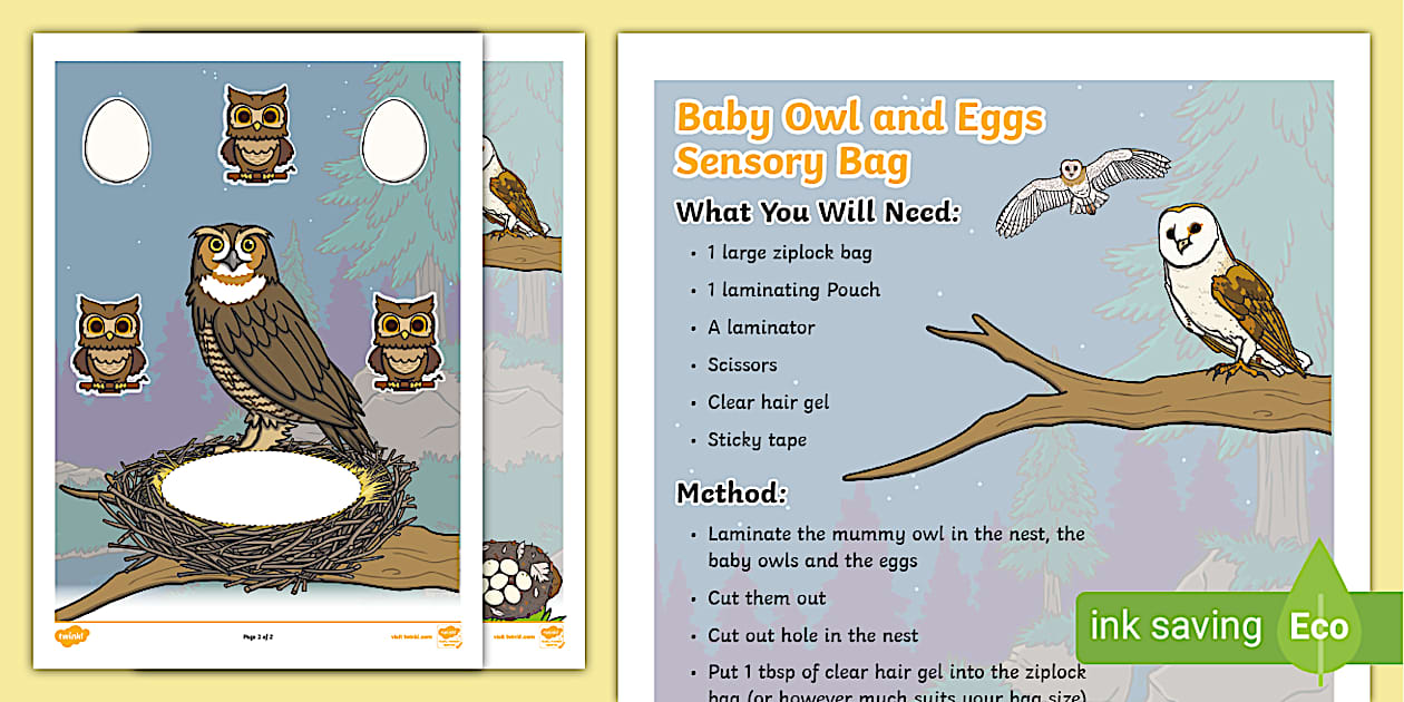 Baby Owl And Eggs Sensory Bag ELC (Teacher-Made) - Twinkl