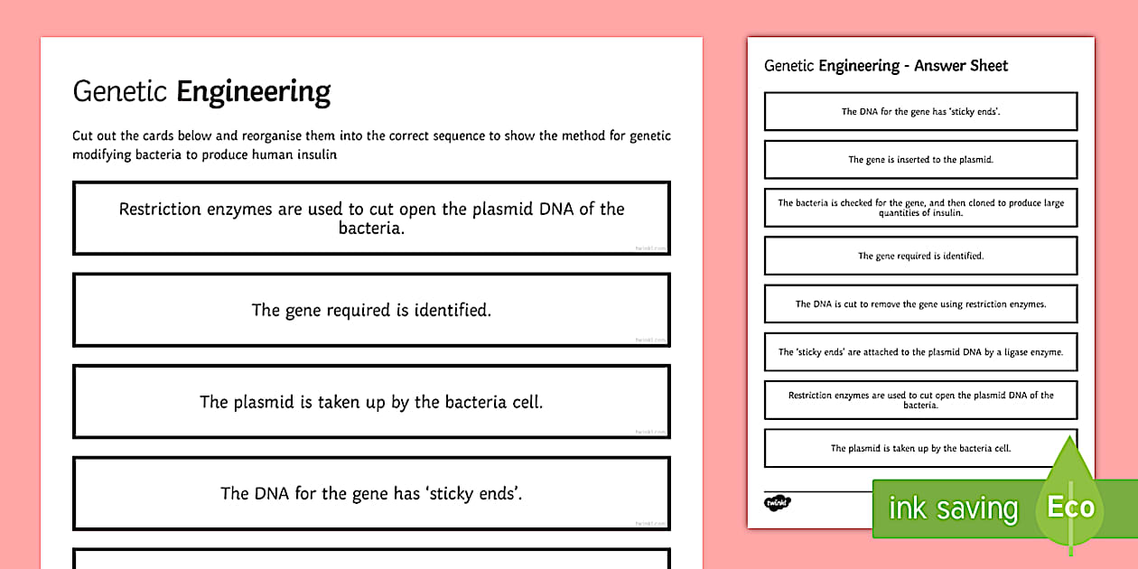 Editable Genetic Engineering Sequencing Cards (teacher made)