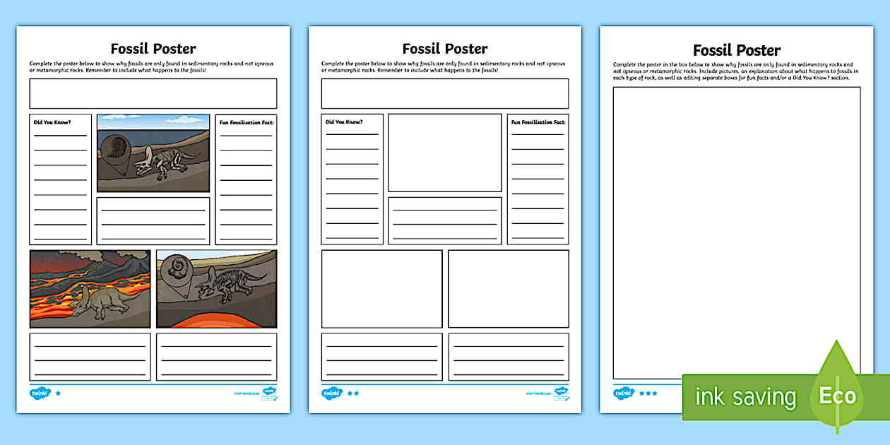 Black and White Fossil Poster Worksheet - Twinkl
