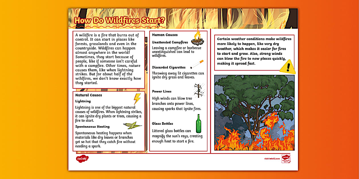 How Do Forest Fires Start? Fact File (teacher made) - Twinkl