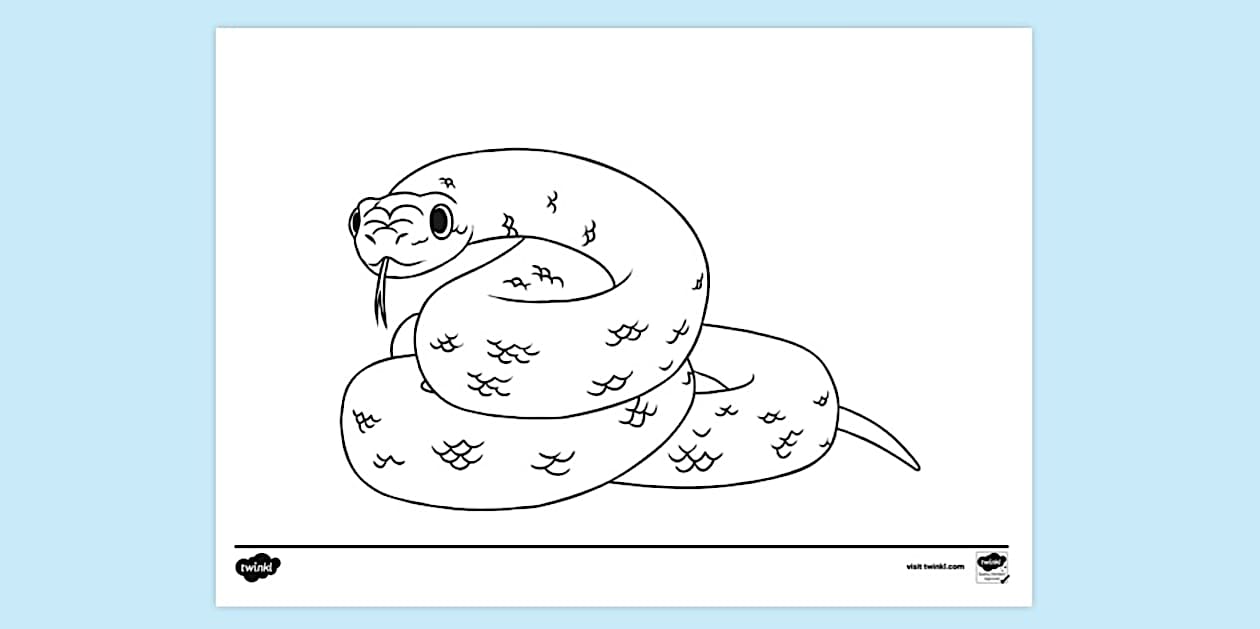 Rainforest Snake Colouring Page | Colouring Sheet - Twinkl