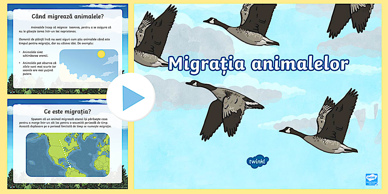 Migrația animalelor | Prezentare PPT | Twinkl România