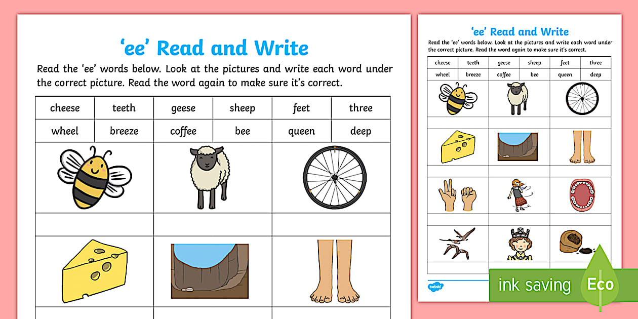 'ee' Read and Write Worksheet (teacher made) - Twinkl