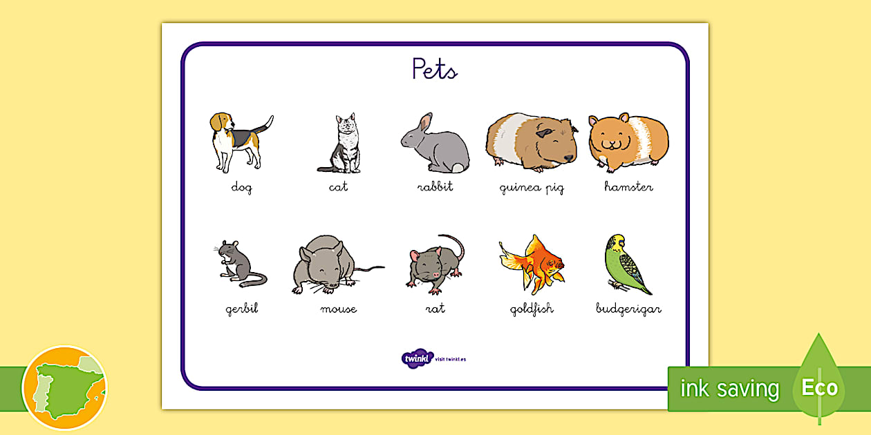 A1 Diccionario de imágenes: Mascotas en inglés