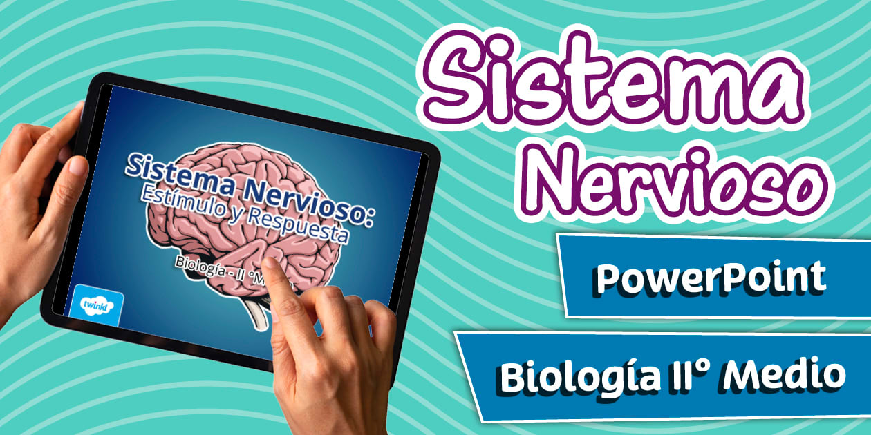 PowerPoint | Sistema Nervioso | II° Medio | Biología