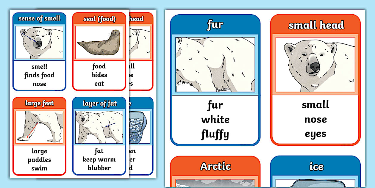 * NEW * Polar Bears 'Leave it out!' Game Cards - Twinkl