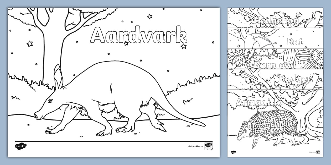 Nocturnal Animals Colouring Pages (teacher made) - Twinkl