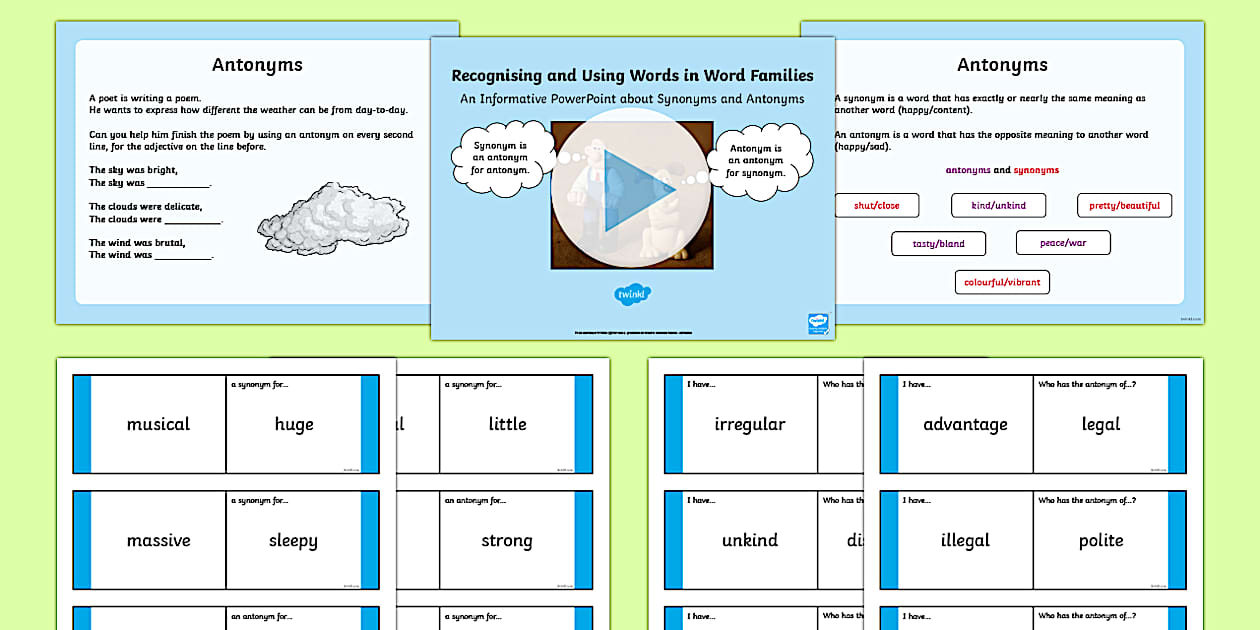 SA Identifying an Antonym Lesson Pack (teacher made)