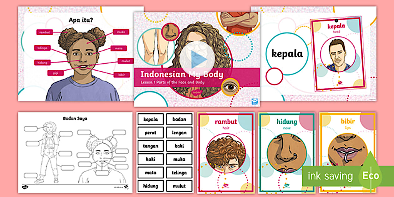 My Body Lesson Pack - Indonesian/English (teacher made)