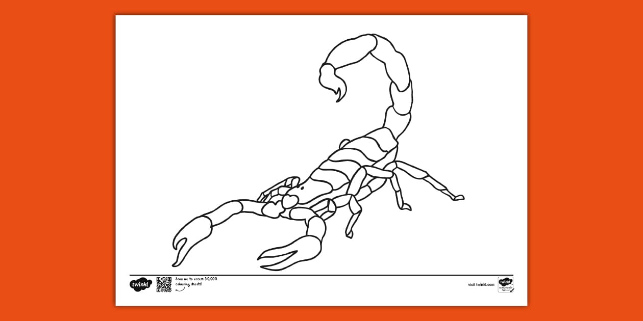 Scorpion Colouring Page - Resources (teacher made) - Twinkl