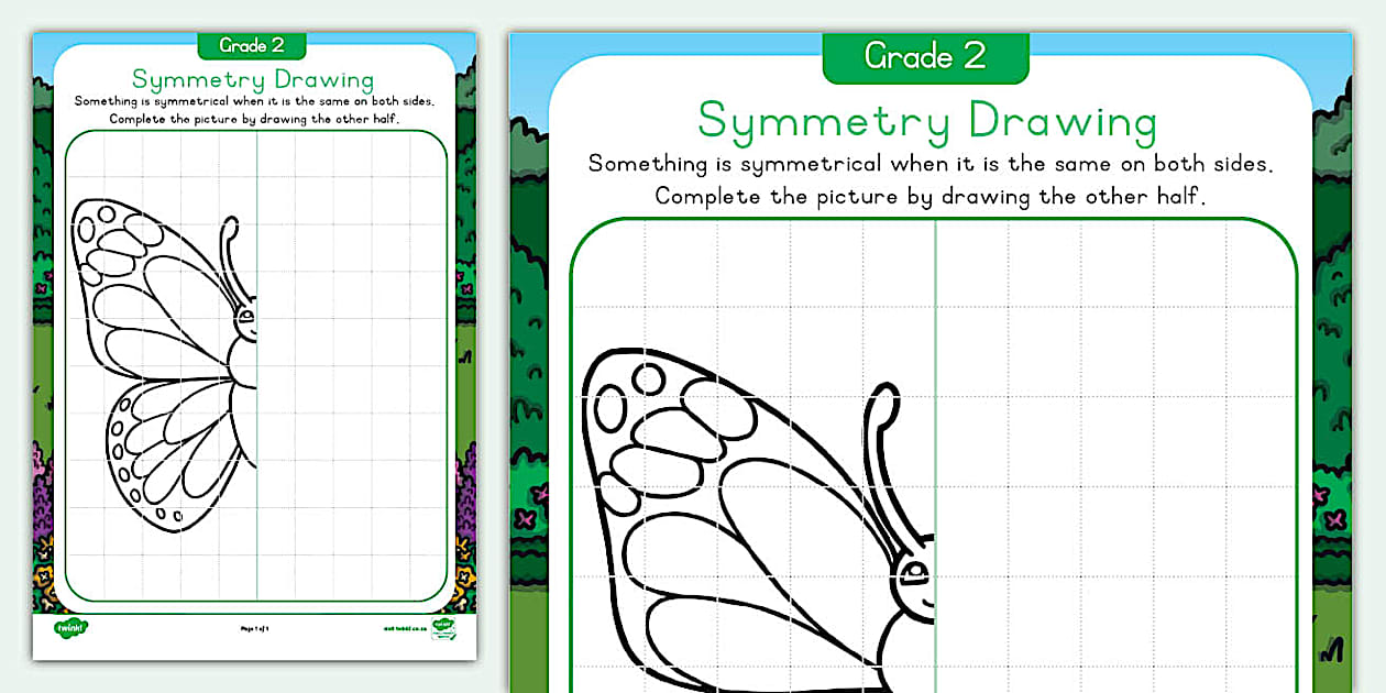 Symmetry Drawing (teacher made) - Twinkl