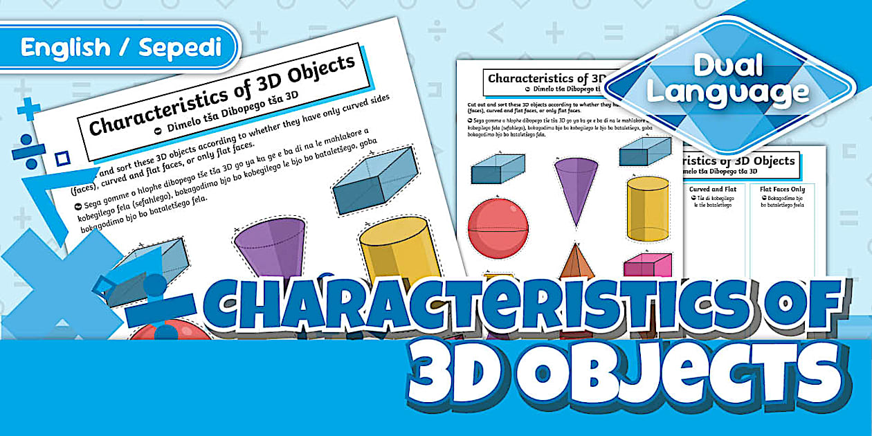 Grade 4 Maths Characteristics of 3D Objects Sepedi/Eng