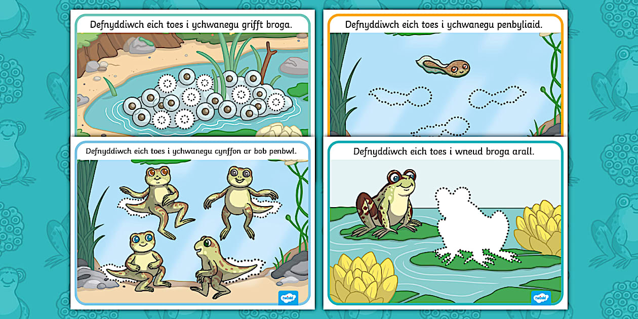 Y Ribid Perffaith: Matiau Toes Cylch Bywyd Broga - Twinkl