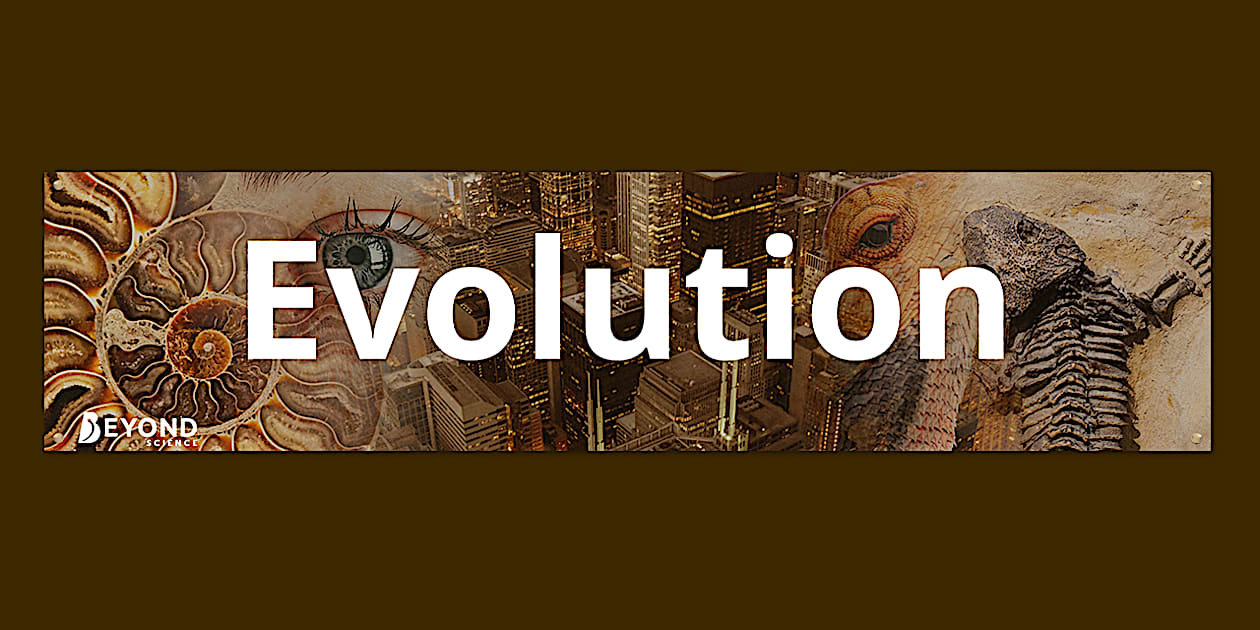KS3 Evolution Display Banner | Science | Beyond - Twinkl