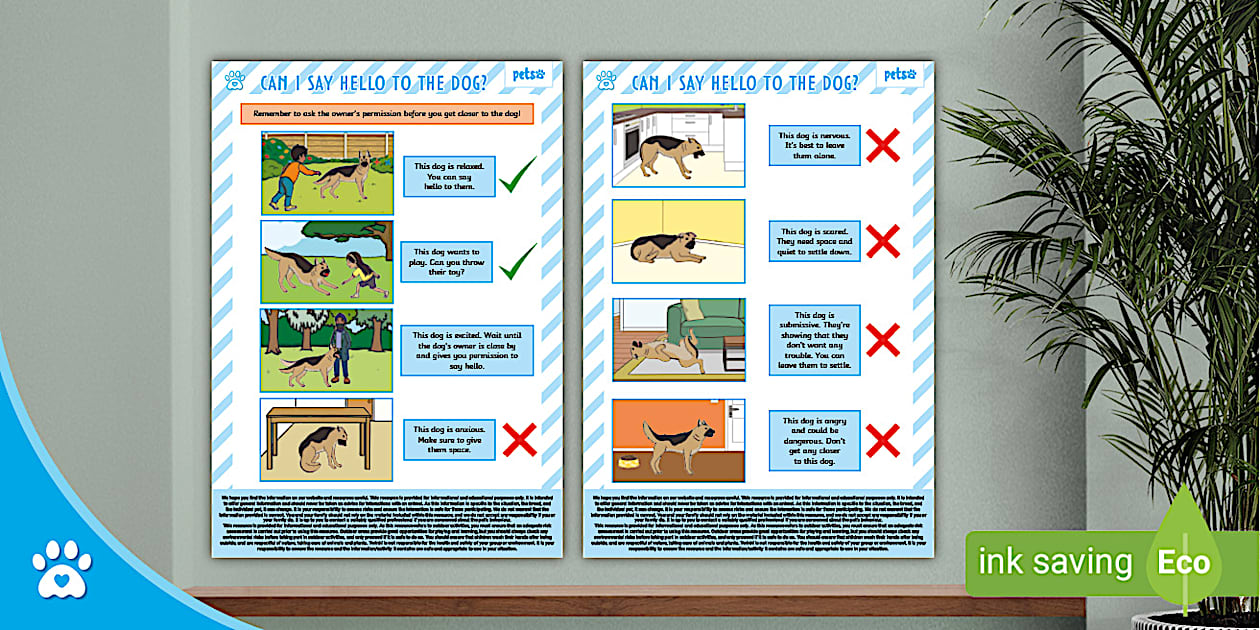 Can I Say Hello to the Dog? -Dog Body Language Guide