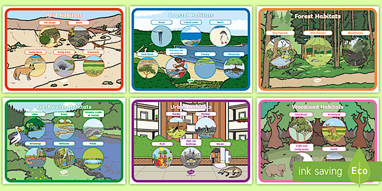 Cursive Australian Habitats Display Posters (teacher made)