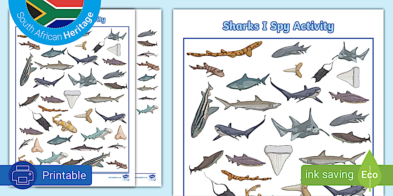 South African Sharks I Spy Activity (teacher made) - Twinkl