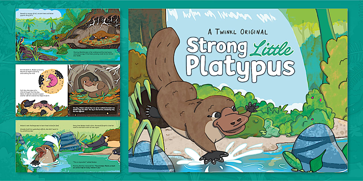 Strong Little Platypus - Story PowerPoint (teacher made)