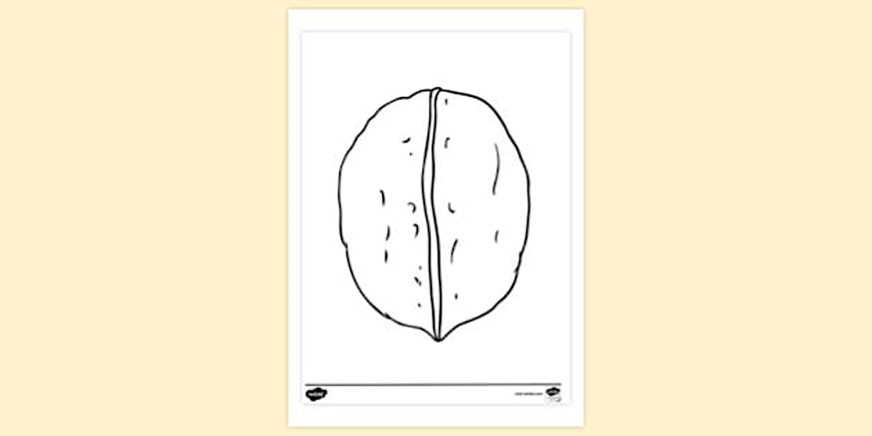 Walnut Colouring Sheet | Colouring Sheets (teacher made)